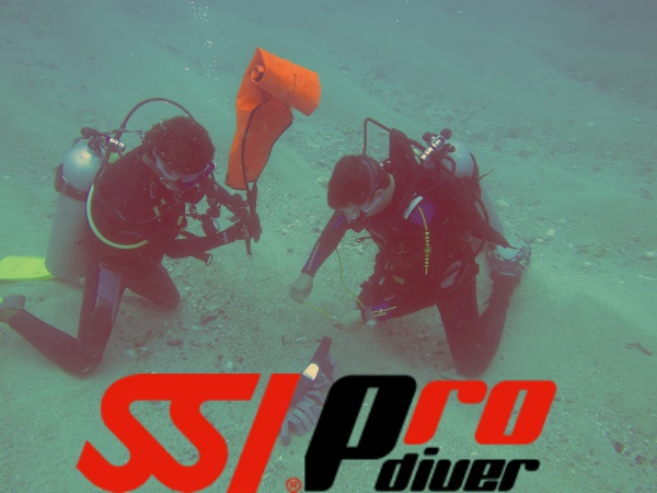 SSI Dive Guide - SDA - Swiss Divers Association